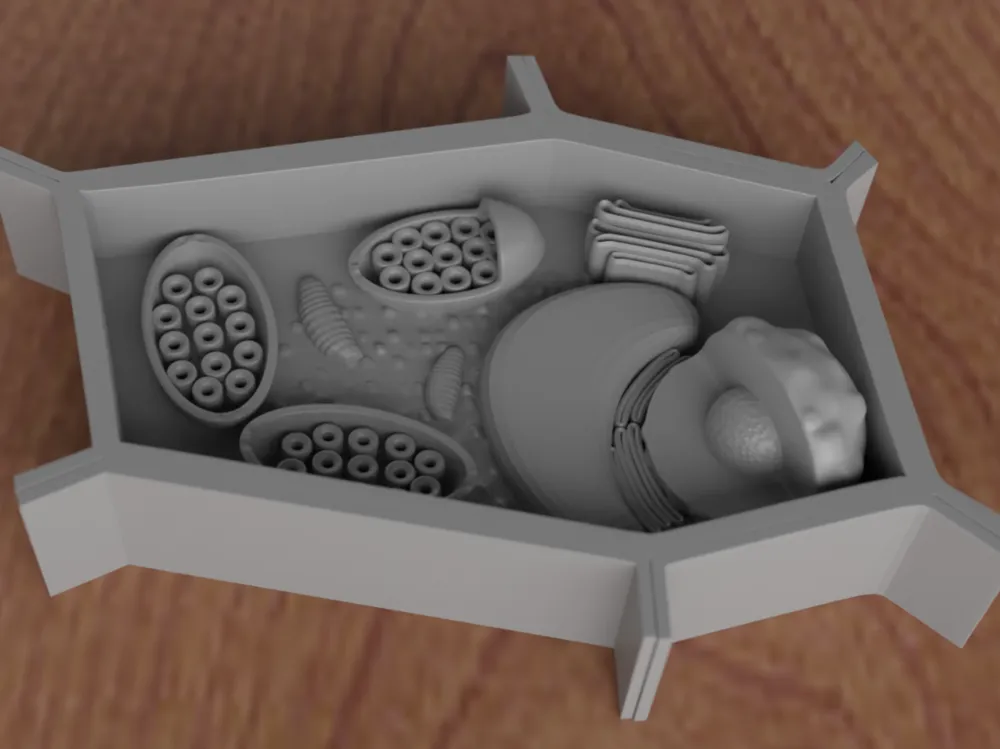 Cell Vegetables - Free 3D Print Model - MakerWorld