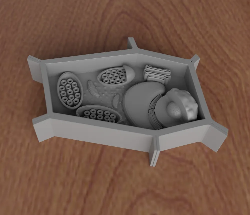 Cell Vegetables - Free 3D Print Model - MakerWorld