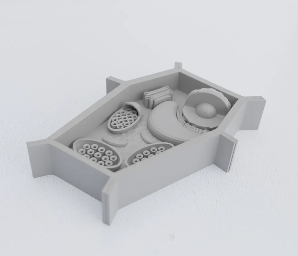 Cell Vegetables - Free 3D Print Model - MakerWorld