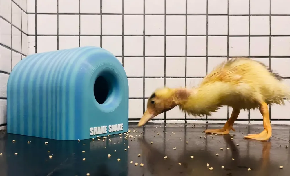 Duck Feeding Box - Free 3D Print Model - MakerWorld