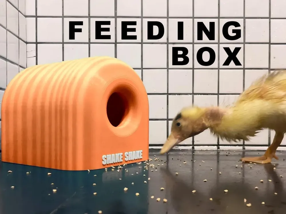 Duck Feeding Box - Free 3D Print Model - MakerWorld