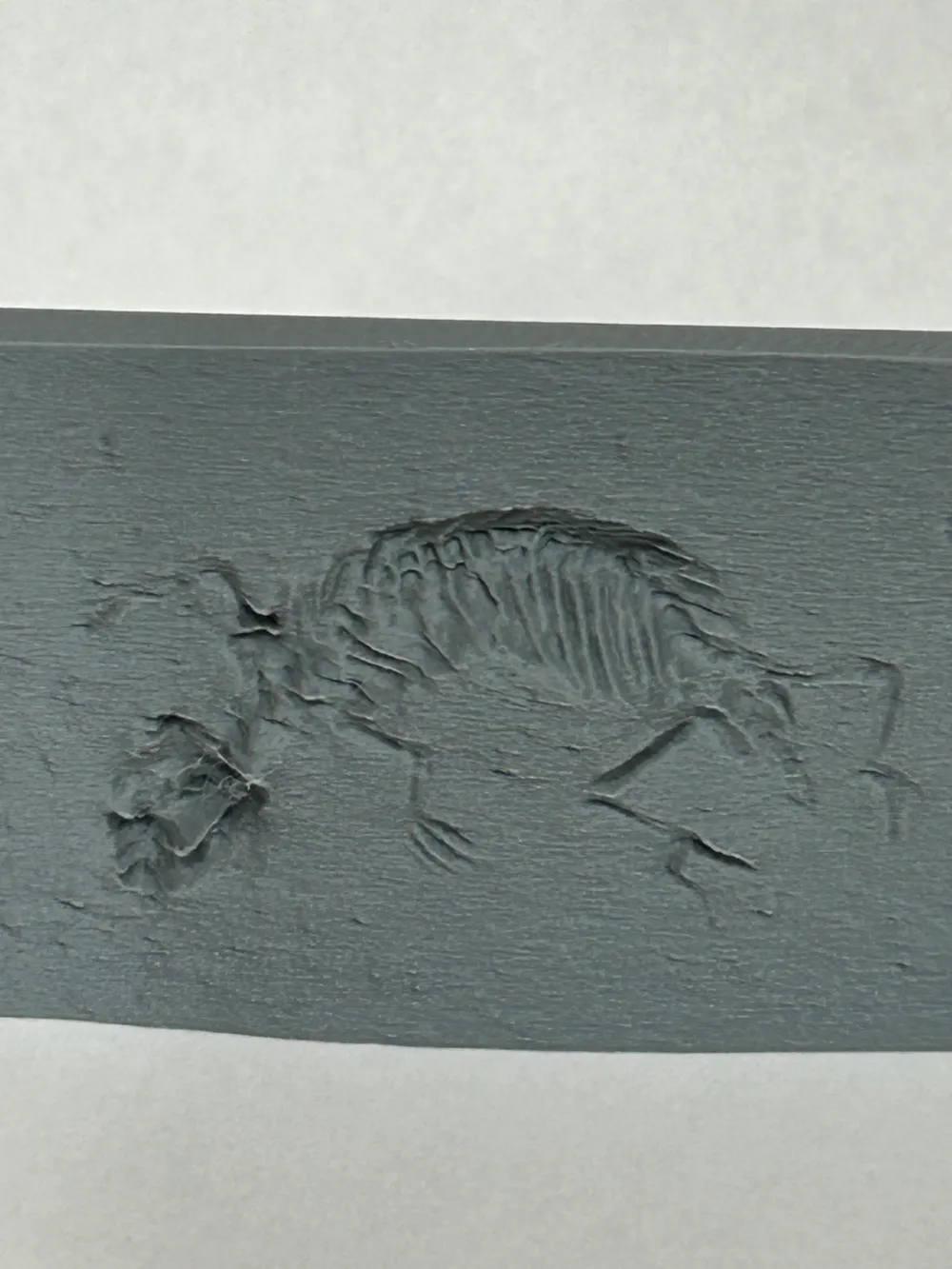 Lizard Fossil by item4me MakerWorld: Download Free 3D Models