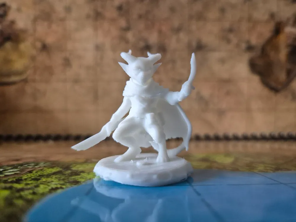 DnD tiefling rogue miniature by OrlandoSerpentieri MakerWorld: Download ...