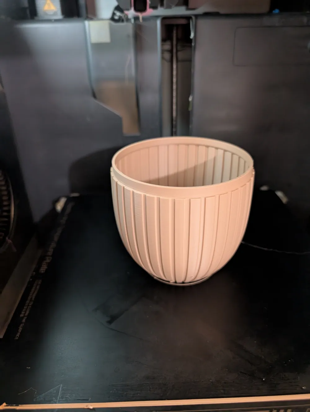 Acorn containers Starlight by 3DMerchandMore MakerWorld: Download Free ...