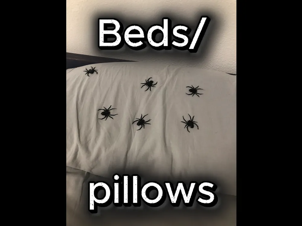 Spider prank - Free 3D Print Model - MakerWorld