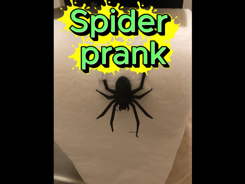 Spider prank - Free 3D Print Model - MakerWorld