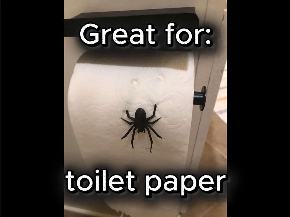 Spider prank - Free 3D Print Model - MakerWorld