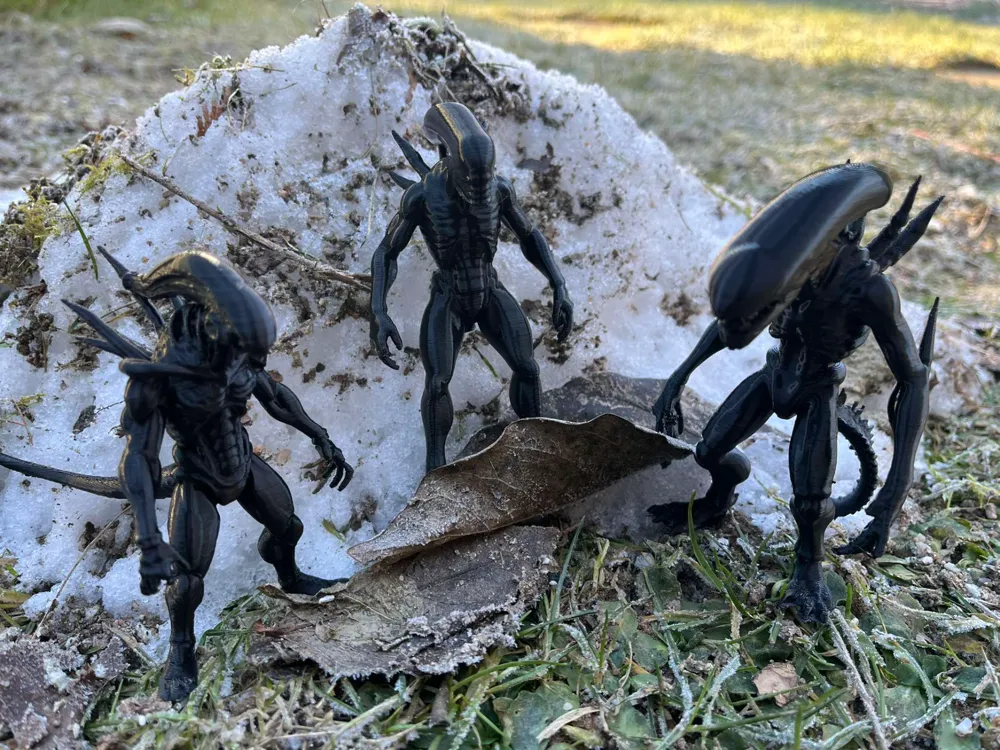 Xenomorph, Alien, Intruder by Ainon3Dprint MakerWorld: Download Free 3D ...