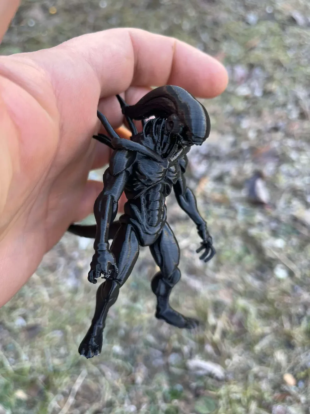 Xenomorph, Alien, Intruder by Ainon3Dprint - MakerWorld