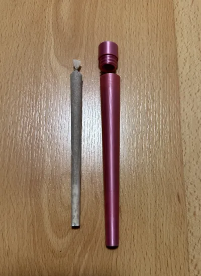 Joint Doob Tube / Holder / Case Remixed by 3D Otto MakerWorld: Download ...