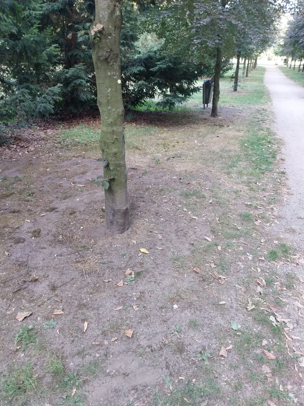 Glow Chip by hussam MakerWorld: Download Free 3D Models