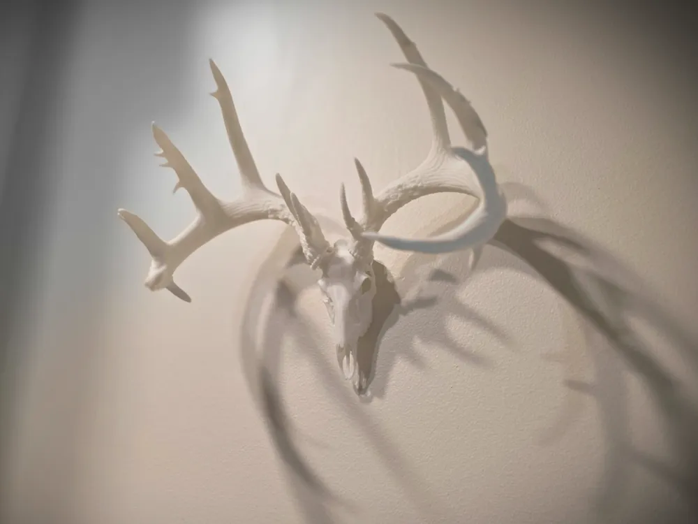 Deer Antler Set - "Glory" - BAS Antler Mount - Free 3D Print Model ...