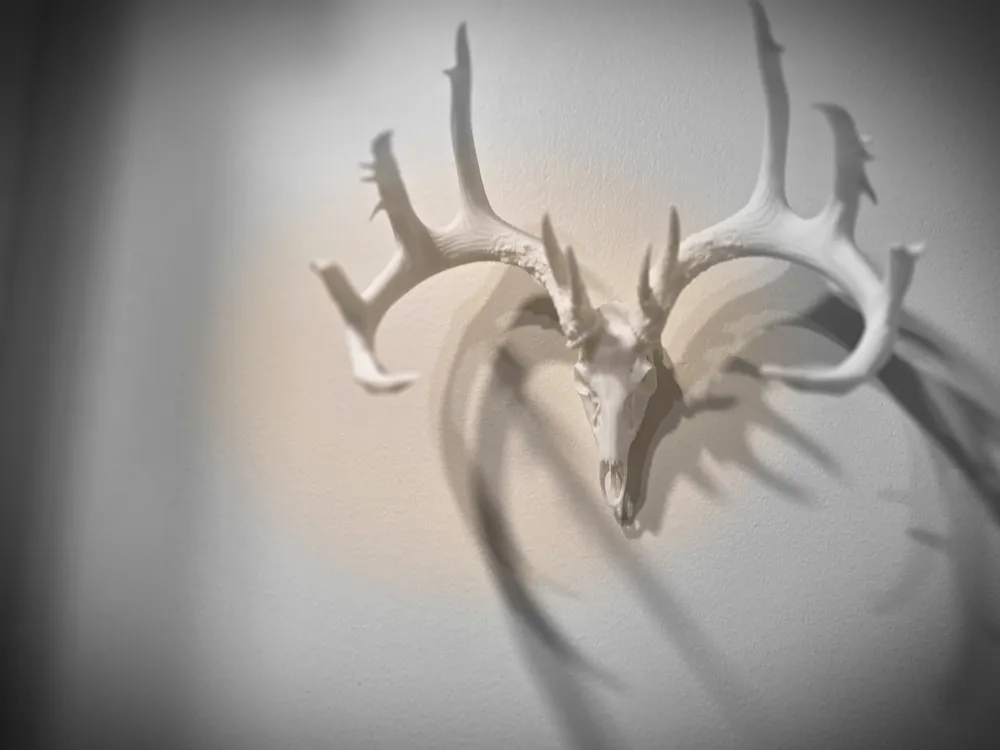 Deer Antler Set - "Glory" - BAS Antler Mount - Free 3D Print Model ...