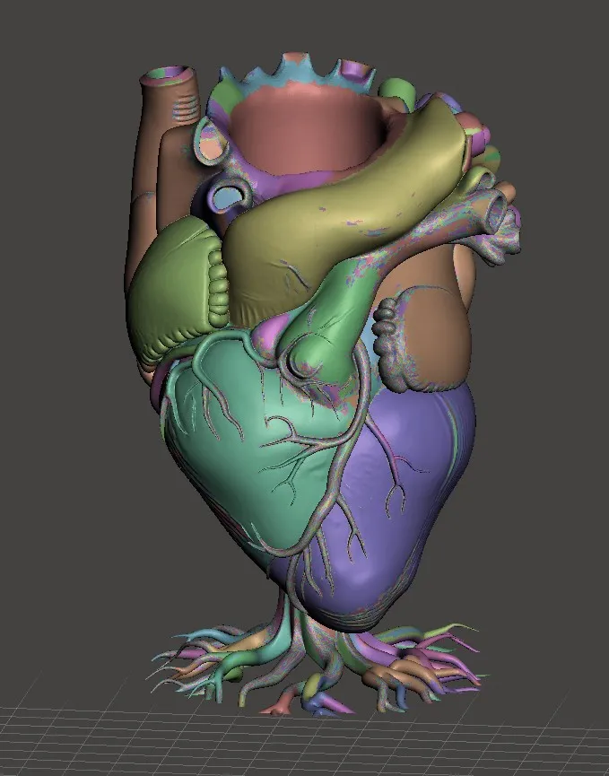The Living Heart: Anatomical Vase, Heart Planter - Free 3D Print Model ...