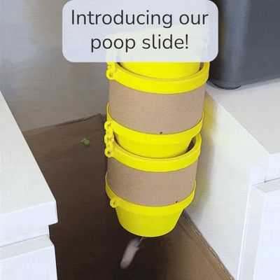 Poop Chute with Bambu Cardboard Spools P1S / X1C by Valeria Momo ...