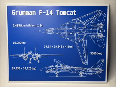 Grumman F-14 Tomcat (Silhouette) by N1ghtH8wk MakerWorld: Download Free ...