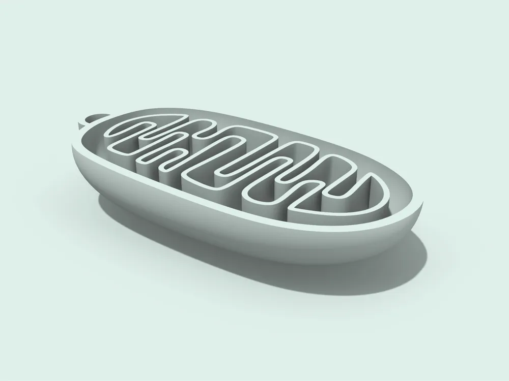 Mighty Mitochondria Key Fob - Free 3D Print Model - MakerWorld