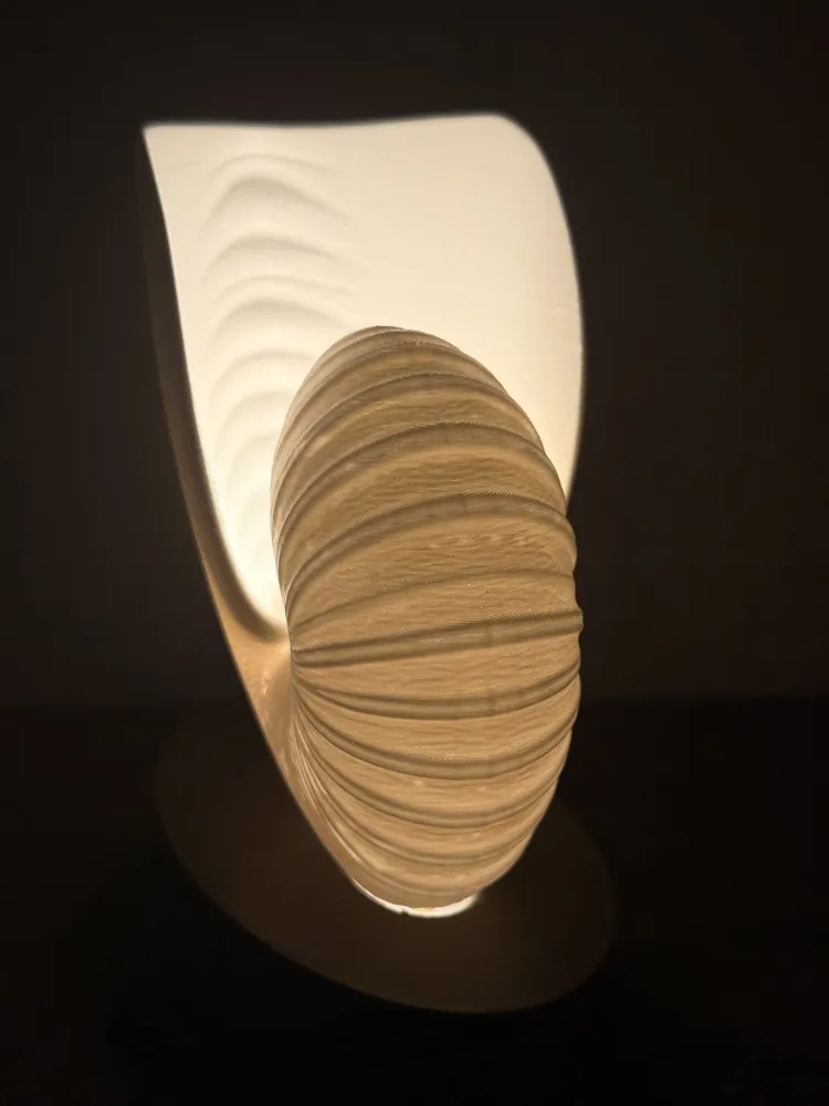 Nautilus Shell LED Lamp — Warm Ambient Light - Free 3D Print Model ...