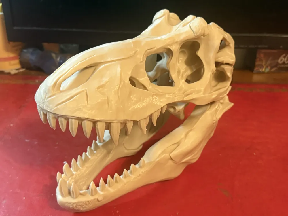 Cráneo de tiranosaurio (250mm) – Réplica de fósil - Modelo de impresión ...