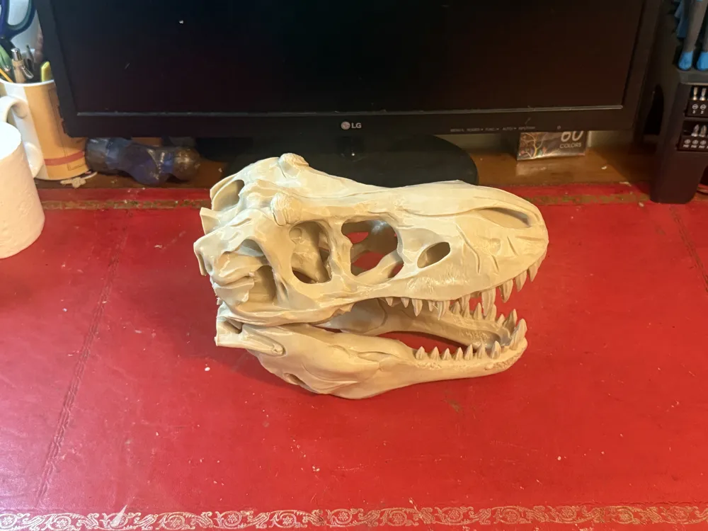 Cráneo de tiranosaurio (250mm) – Réplica de fósil - Modelo de impresión ...