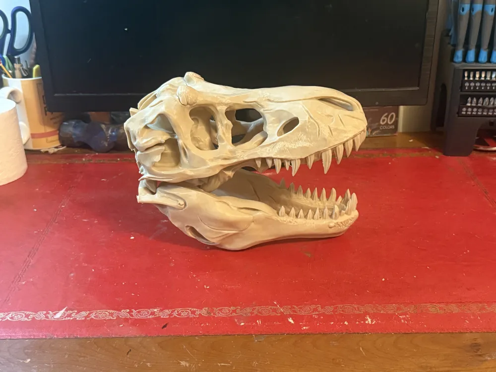 Tyrannosaurus Skull (250mm) – Fossil Replica - Free 3D Print Model ...