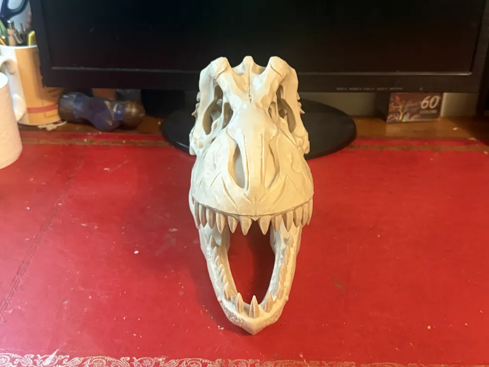 Cráneo de tiranosaurio (250mm) – Réplica de fósil - Modelo de impresión ...
