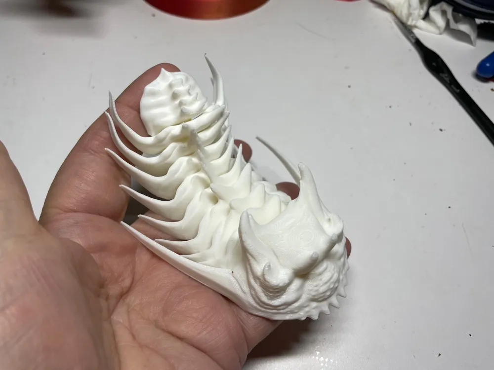 Generic Trilobite, new design! by Auntie Fa - MakerWorld
