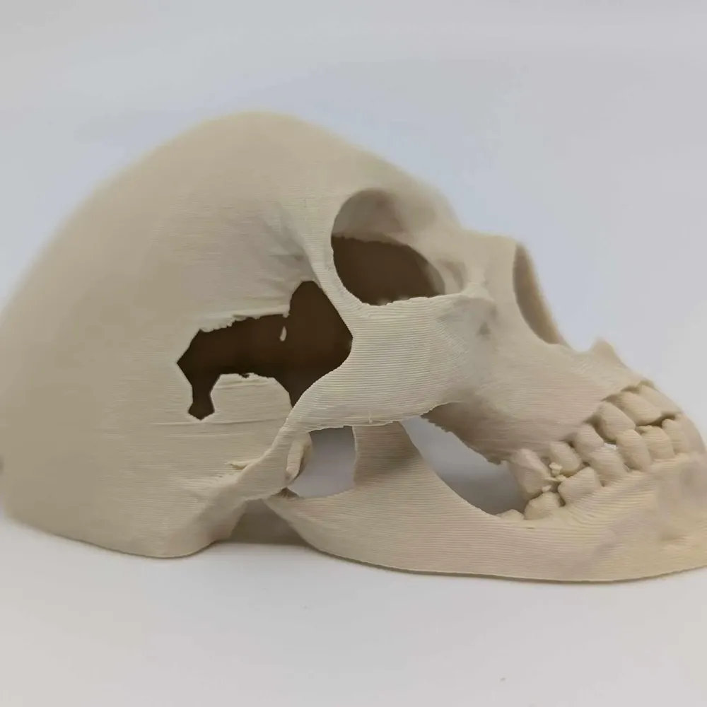 Skull Hide For Small Animals / Arachnid / Reptiles Remixed by SB ...