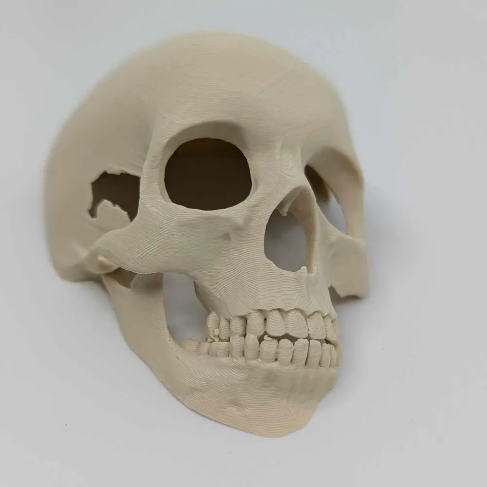 Skull Hide For Small Animals / Arachnid / Reptiles Remixed by SB ...