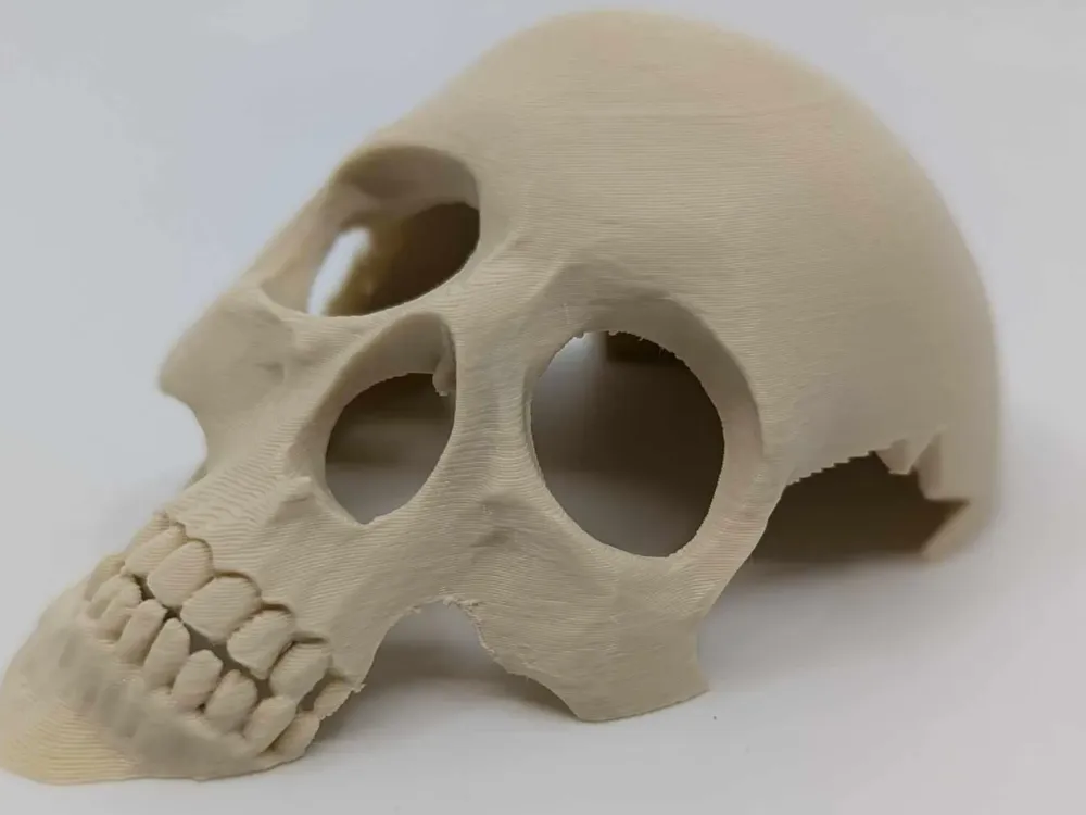 Skull Hide For Small Animals / Arachnid / Reptiles Remixed by SB ...