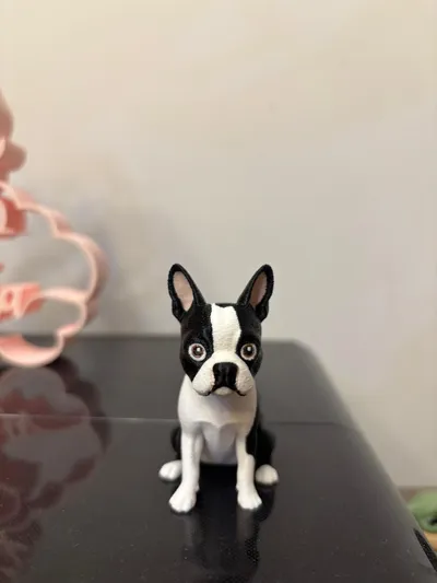 Boston Terrier - Frenchie - Free 3D Print Model - MakerWorld