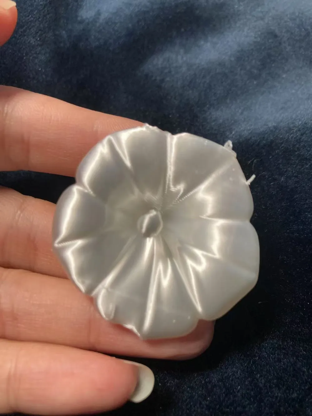 Convolvulus - Modelo de impresión 3D gratuito - MakerWorld