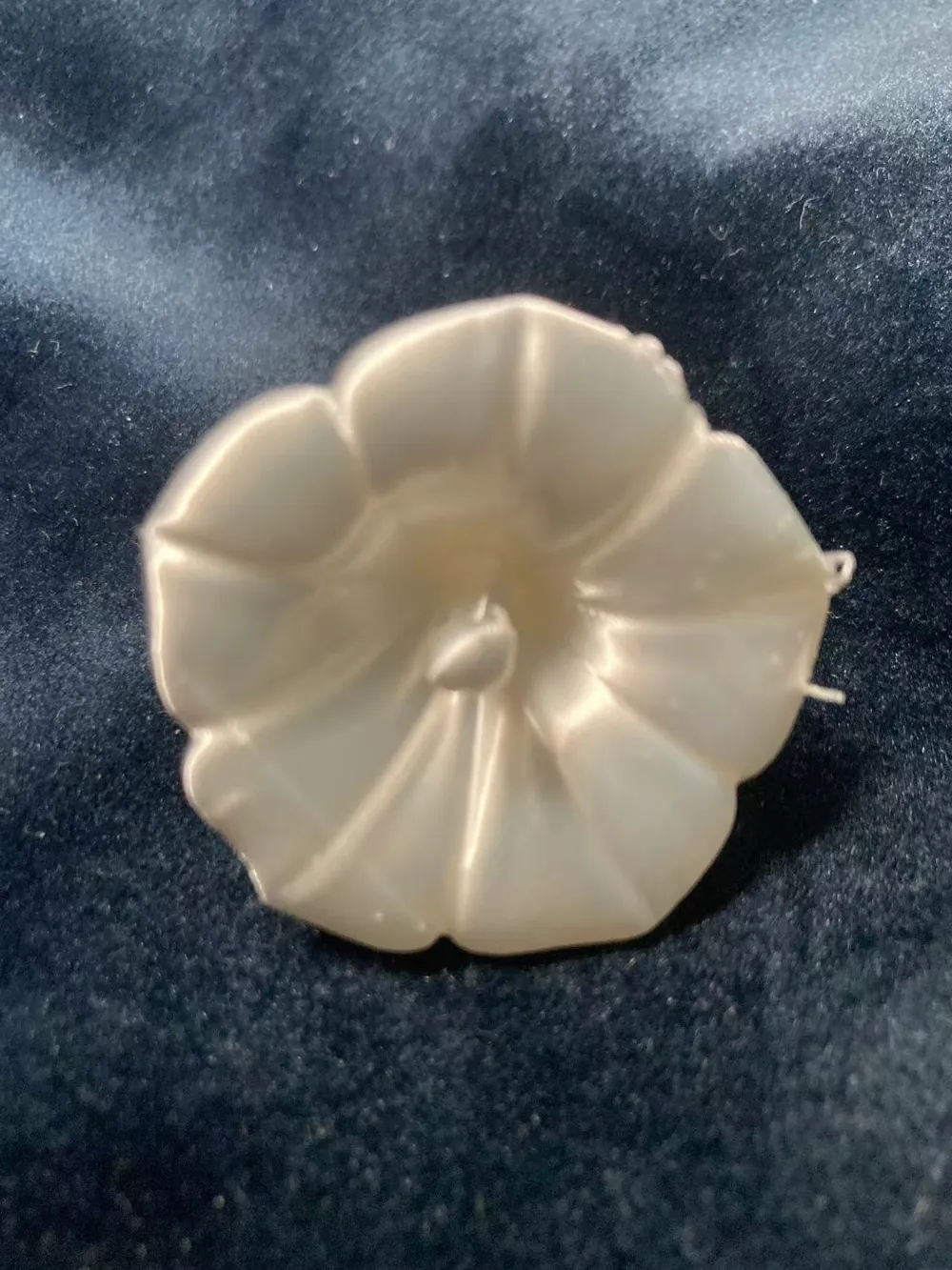 Convolvulus - Modelo de impresión 3D gratuito - MakerWorld