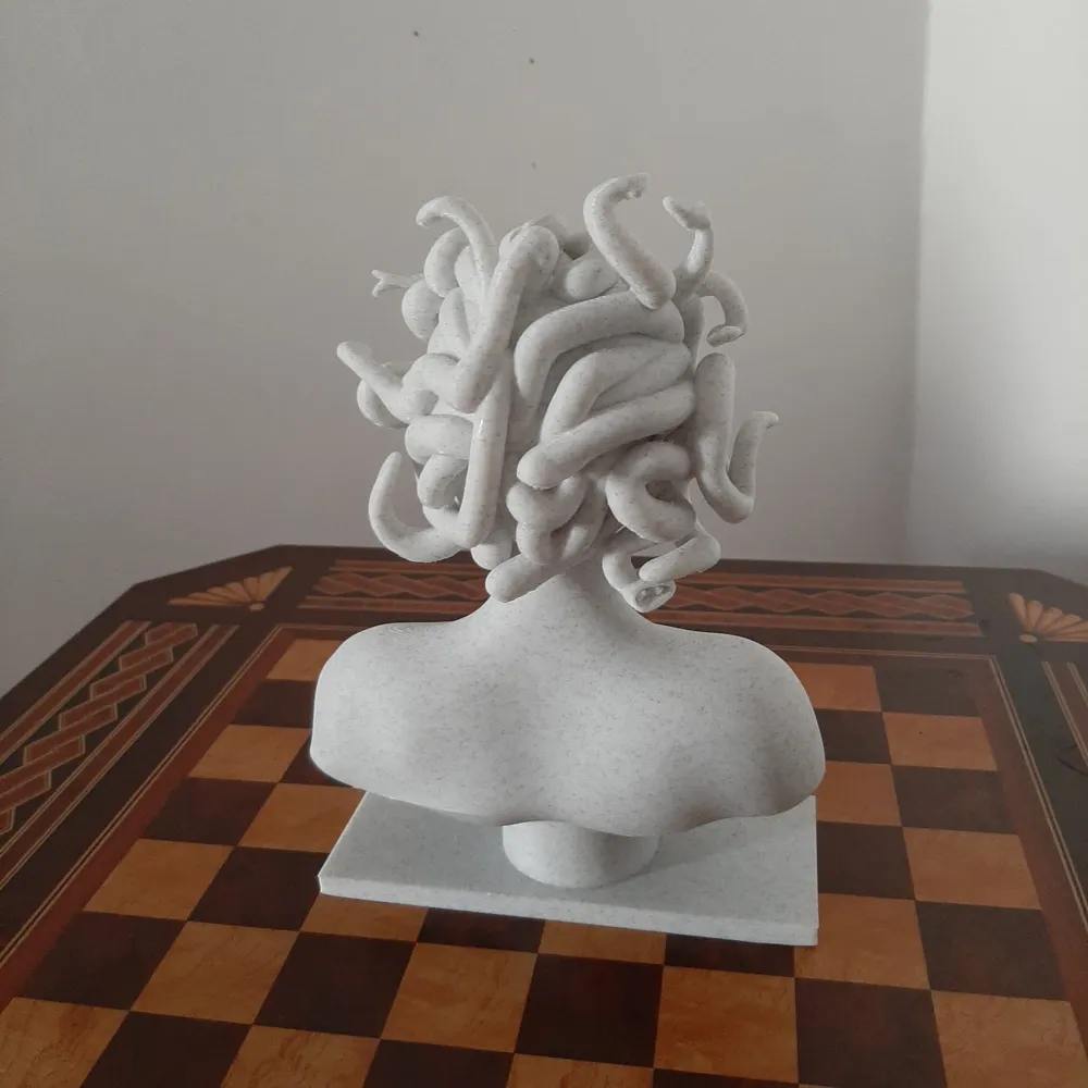 Medusa by Sally Ruby MakerWorld: Download Free 3D Models
