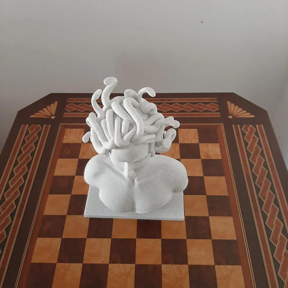 Medusa by Sally Ruby MakerWorld: Download Free 3D Models