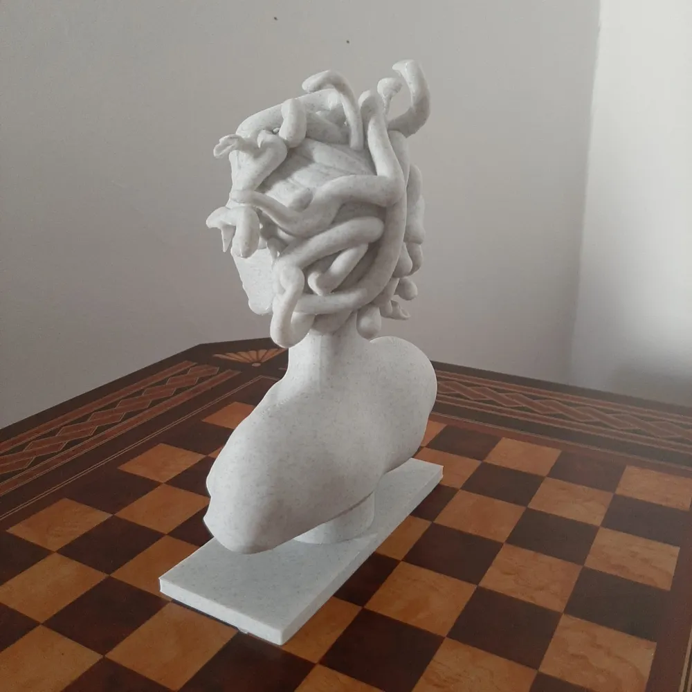 Medusa by Sally Ruby MakerWorld: Download Free 3D Models
