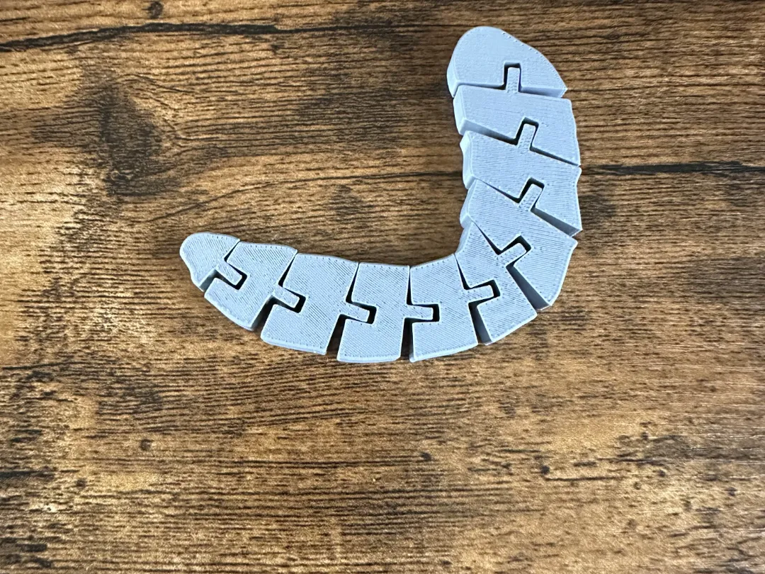 The Poop Noodle by Dankthinktank MakerWorld: Download Free 3D Models