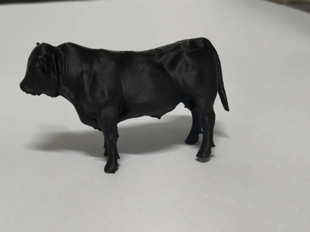 Angus breed cattle by user_218986717 MakerWorld: Download Free 3D Models