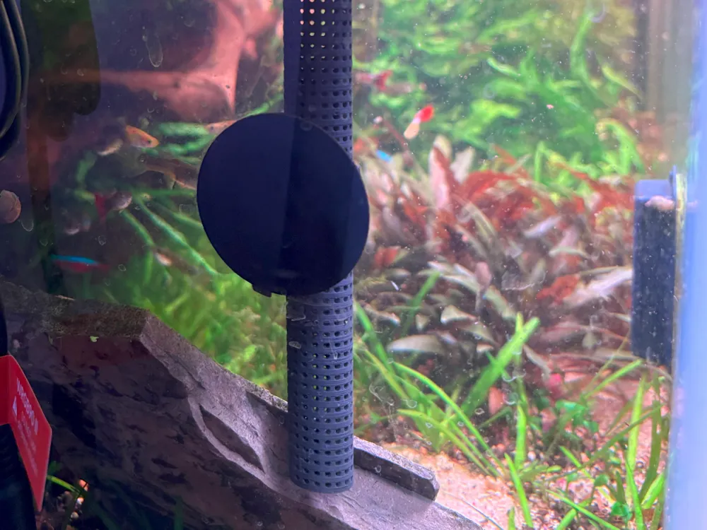 Fluval FX / Canister filter intake by tinkererinc. MakerWorld: Download ...