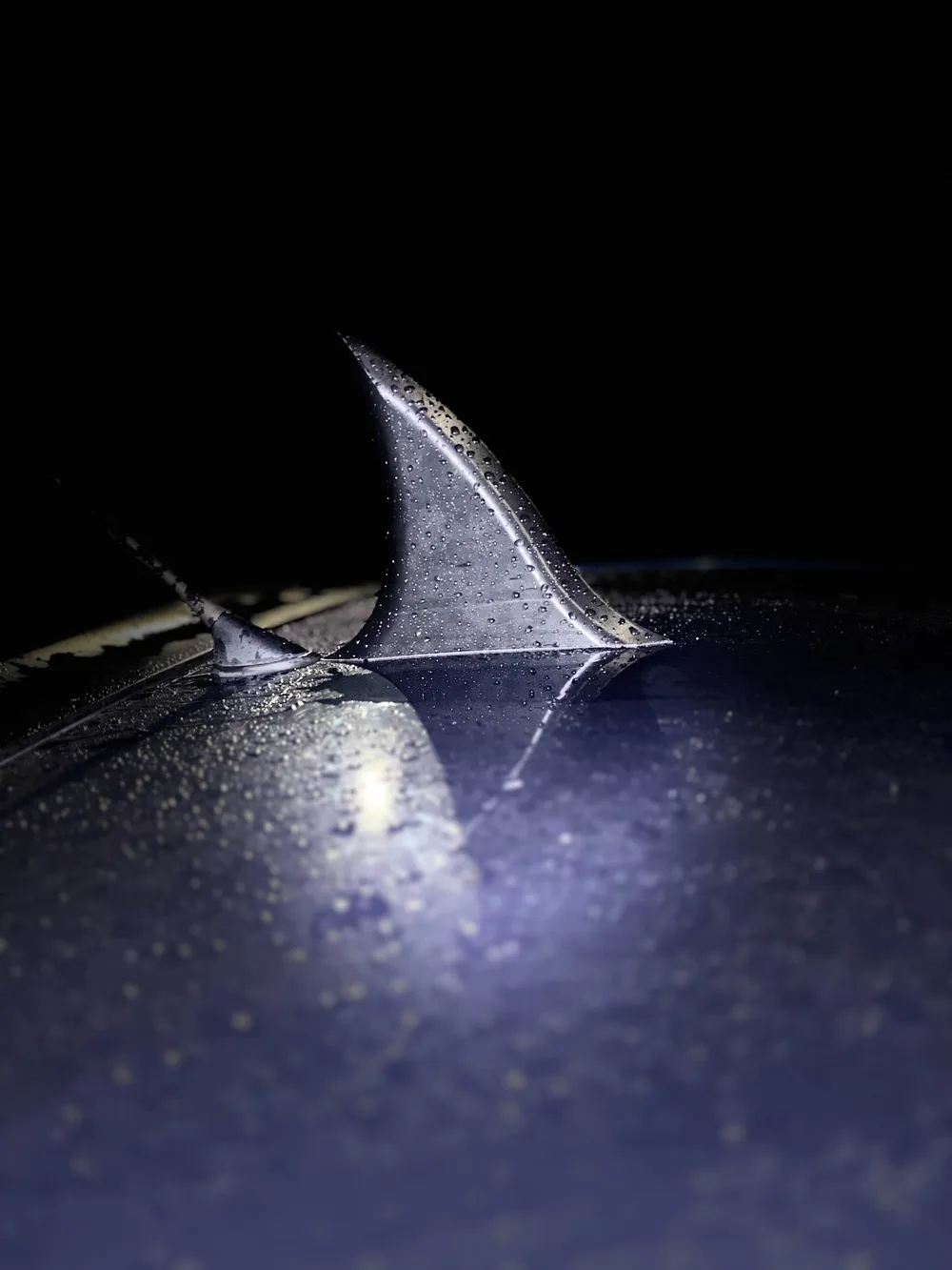 Shark Fin Car Roof Attachment - Free 3D Print Model - MakerWorld