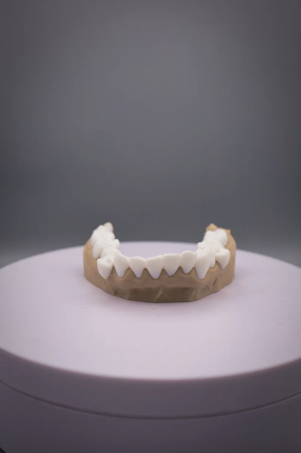 Bottom Denture, Mandibular, Dental model by Bens3ds MakerWorld ...