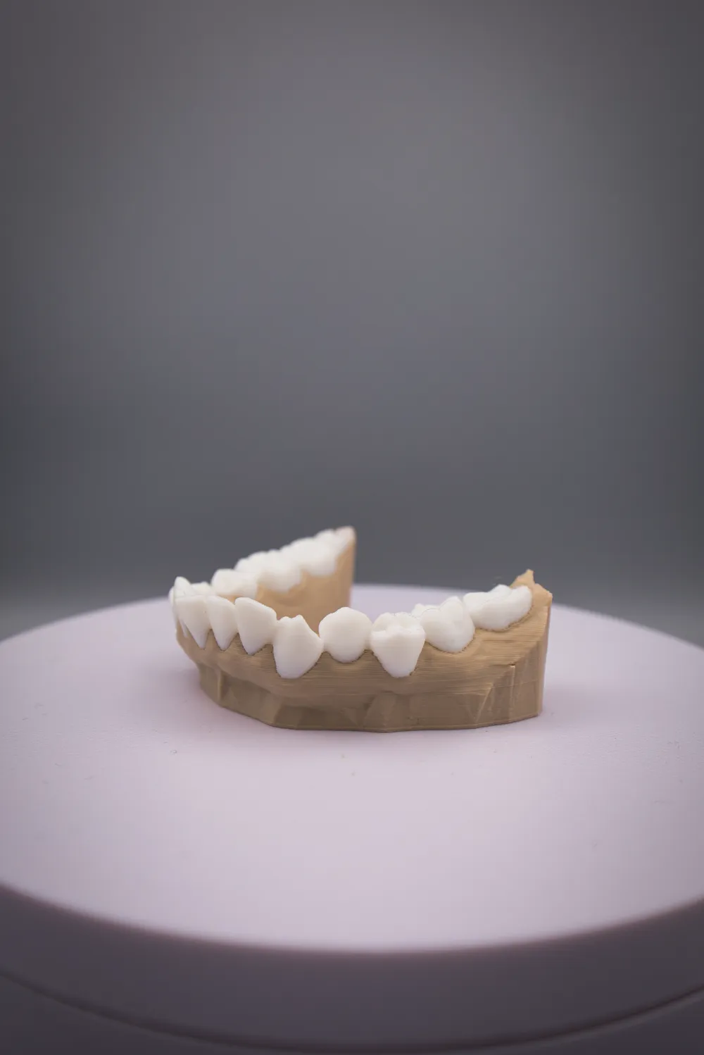 Bottom Denture, Mandibular, Dental model by Bens3ds MakerWorld ...
