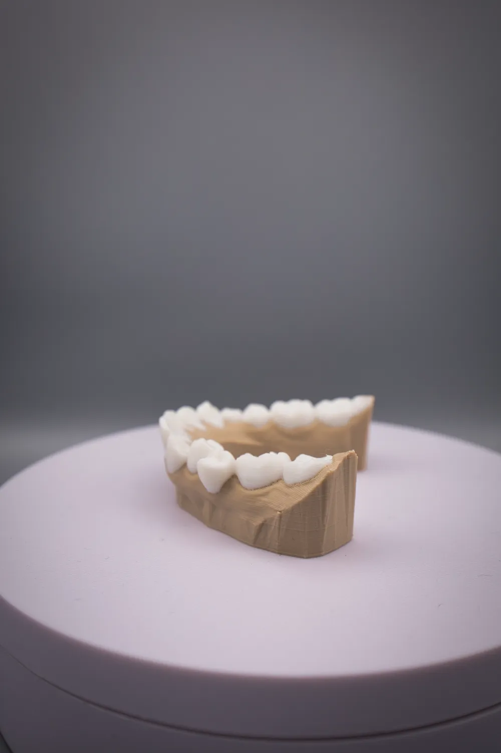 Bottom Denture, Mandibular, Dental model by Bens3ds MakerWorld ...