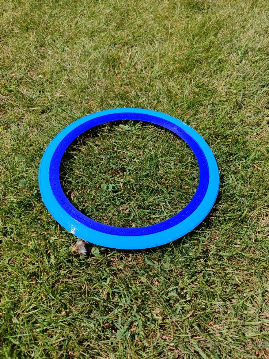 Frisbee/Flying Disc by user_1602197211 MakerWorld: Download Free 3D Models