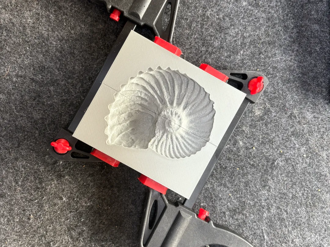 Ammonite - Free 3D Print Model - MakerWorld