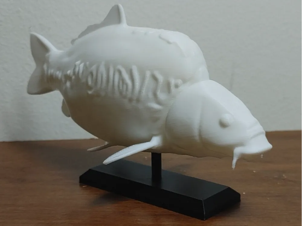 Carp Fish Mount (Mirror) by Fish Prints MakerWorld: Download Free 3D Models
