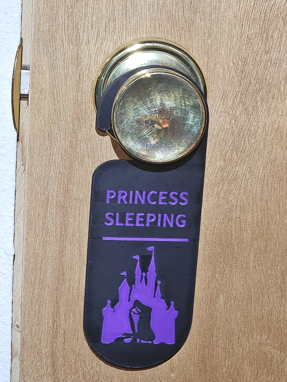 Princess Sleeping Door Hanger Rapunzel by Jones3D - MakerWorld