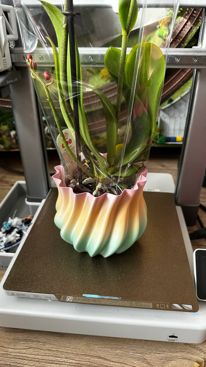 Plant orchid pot cover by Jarek - MakerWorld