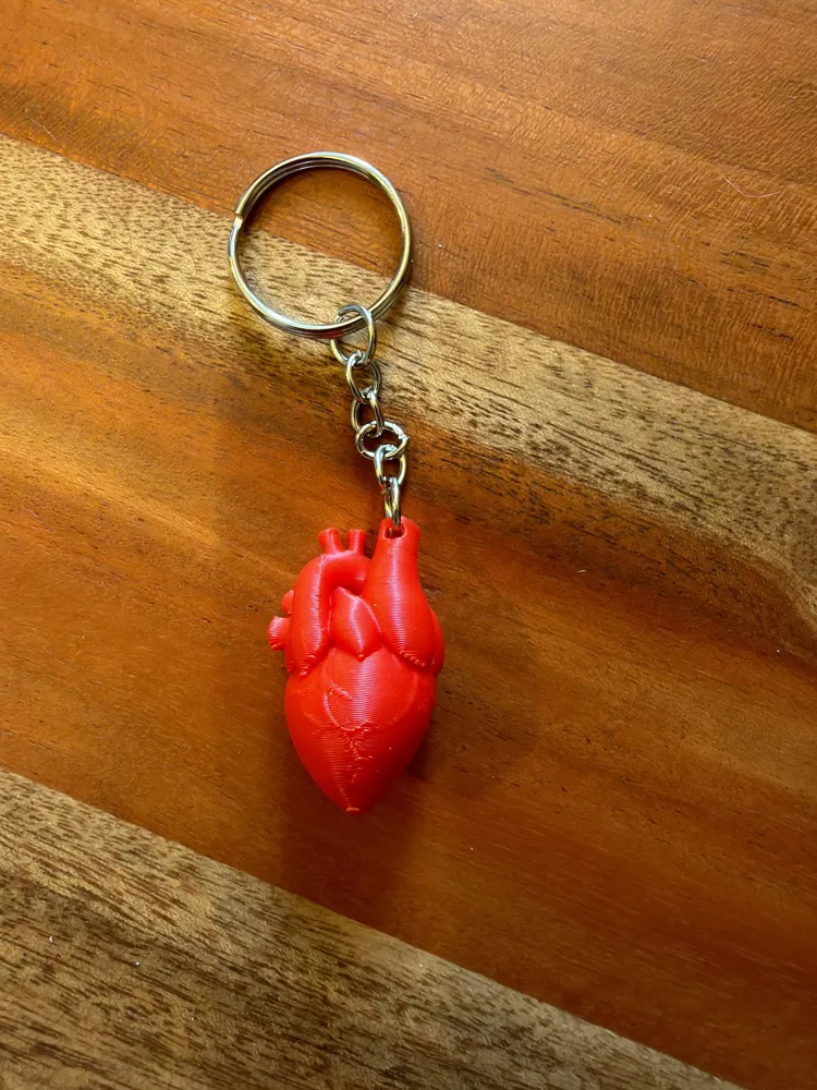 Anatomical Heart - Keychain - Free 3D Print Model - MakerWorld