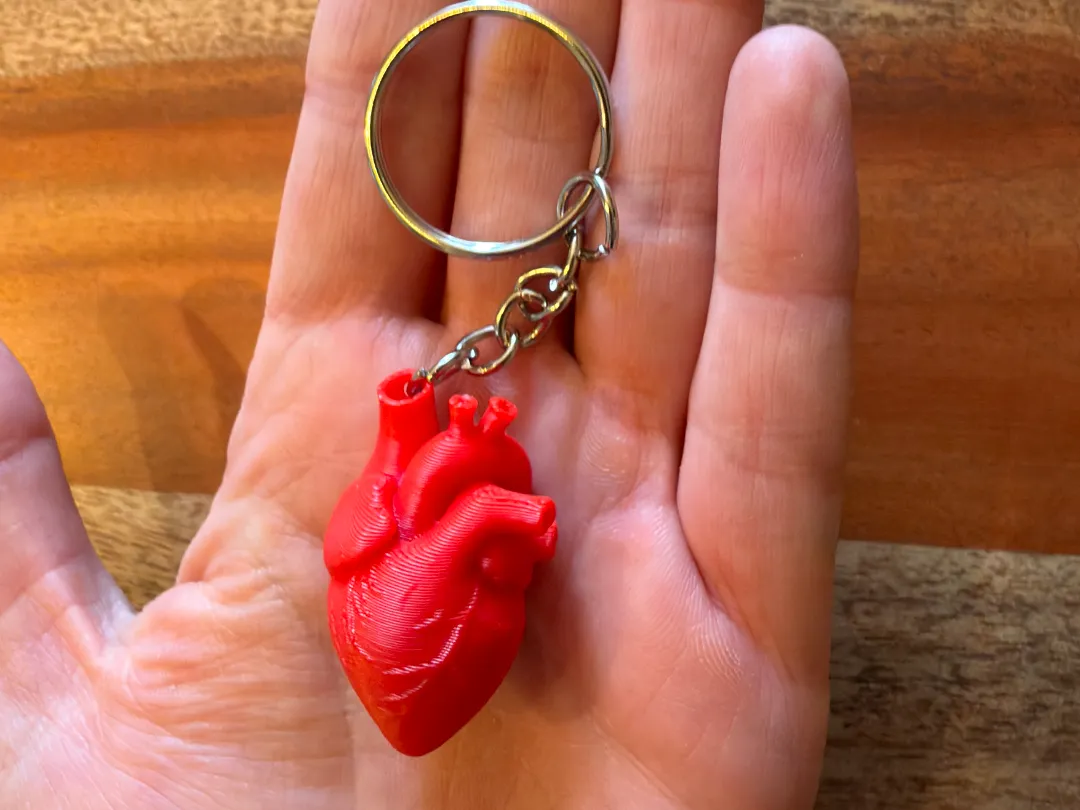 Anatomical Heart - Keychain - Free 3D Print Model - MakerWorld